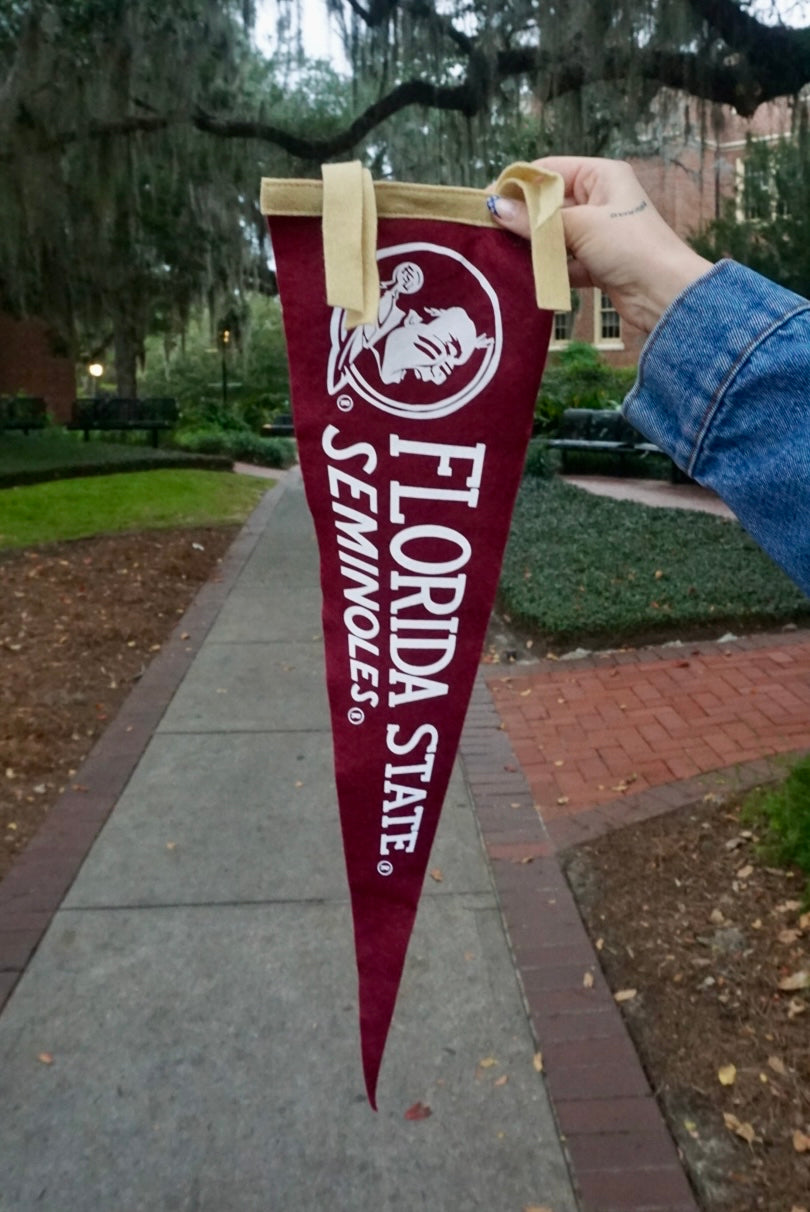 "Florida State Seminoles" Pennant – artxnikki
